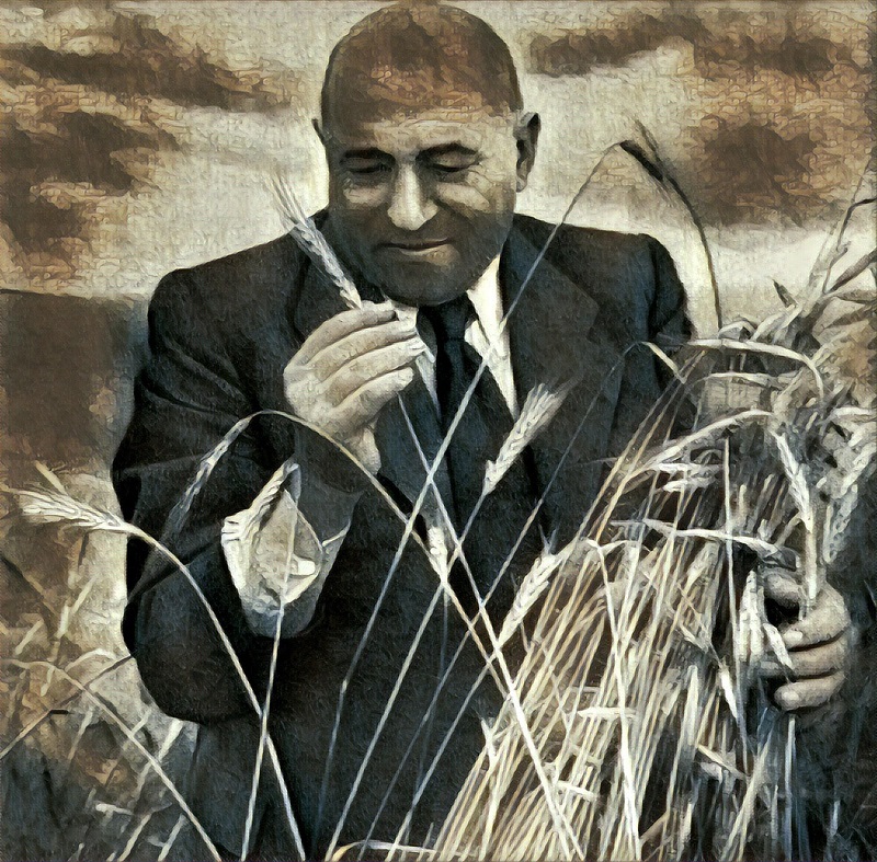 Zsúrpubi - 65 éve süllyedt Magyarország Rákosi Mátyás ölelő karjaiba